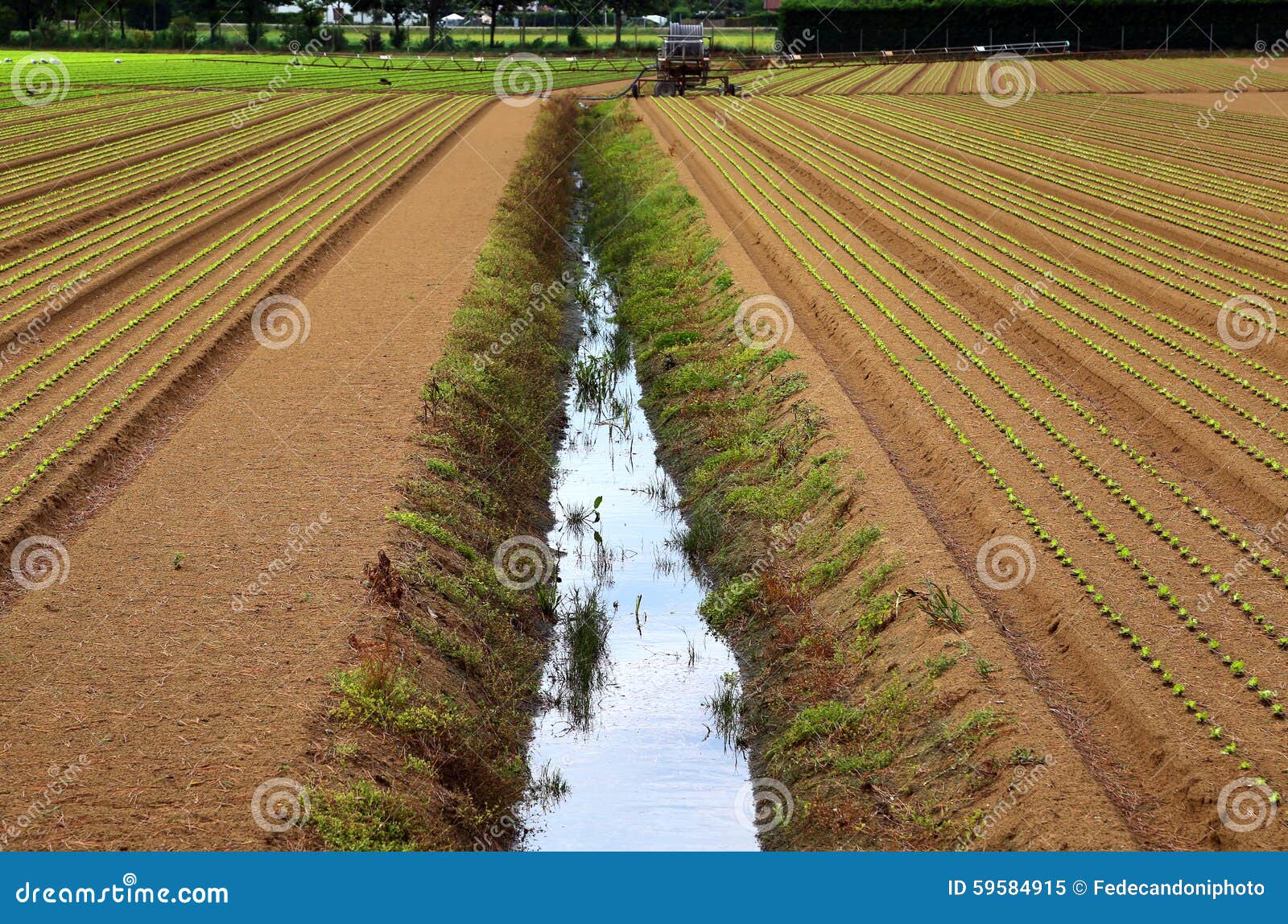 Ditch for the Irrigation of Fields Stock Image - Image of field, plain ...