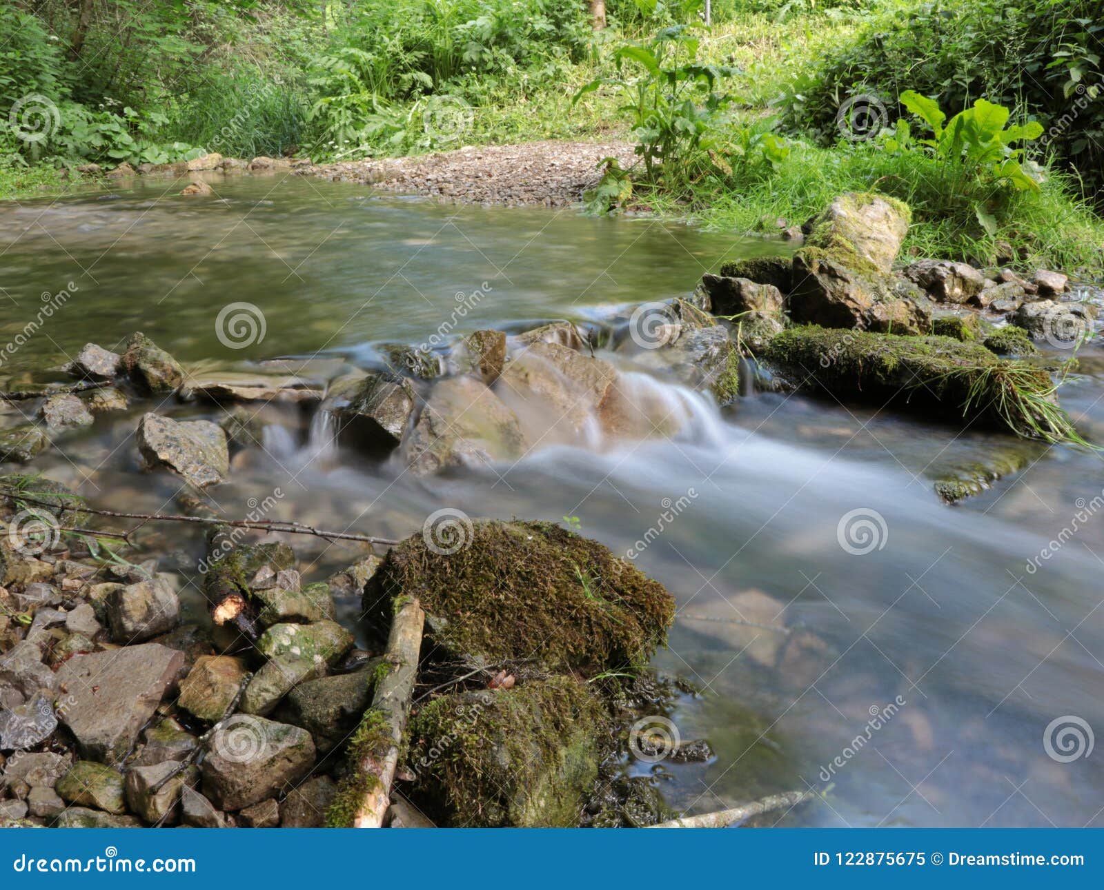 Ditch stock image. Image of forest, litte, outdoor, ditch - 122875675