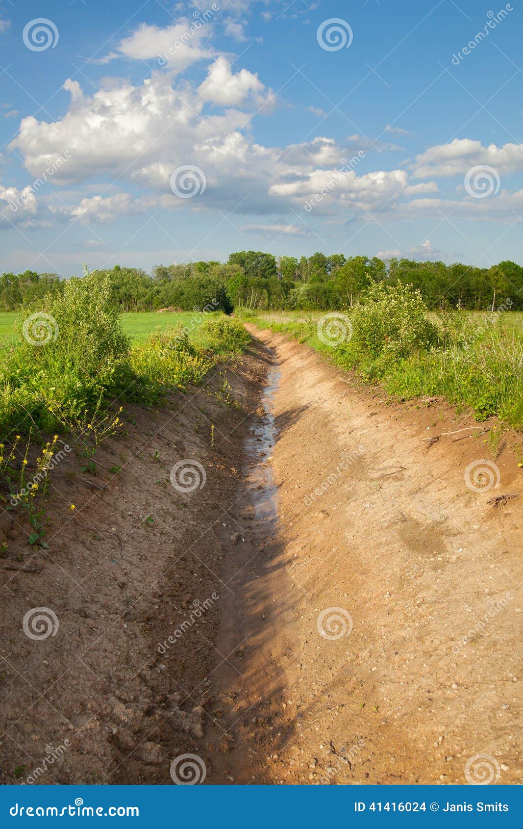 Ditch. stock photo. Image of ditch, landscape, country - 41416024