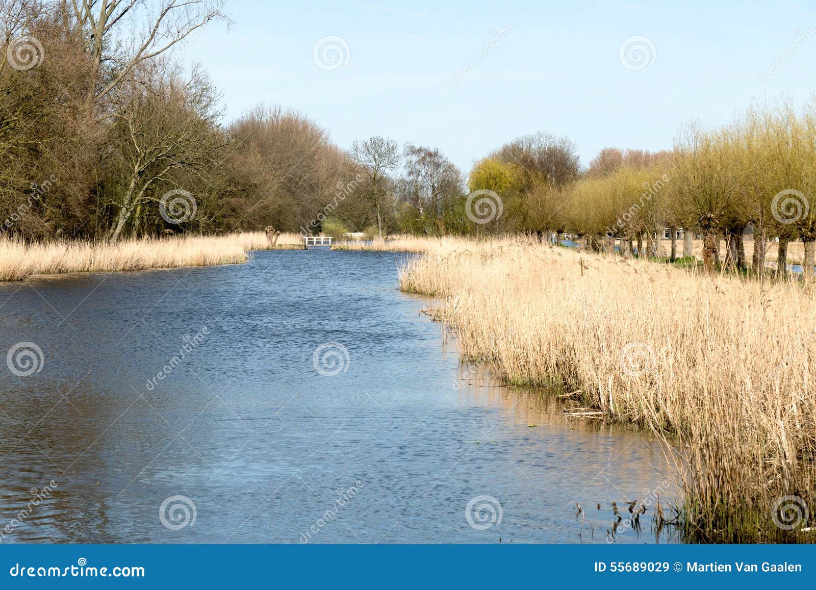 Ditch in a park. stock image. Image of nature, landscape - 55689029