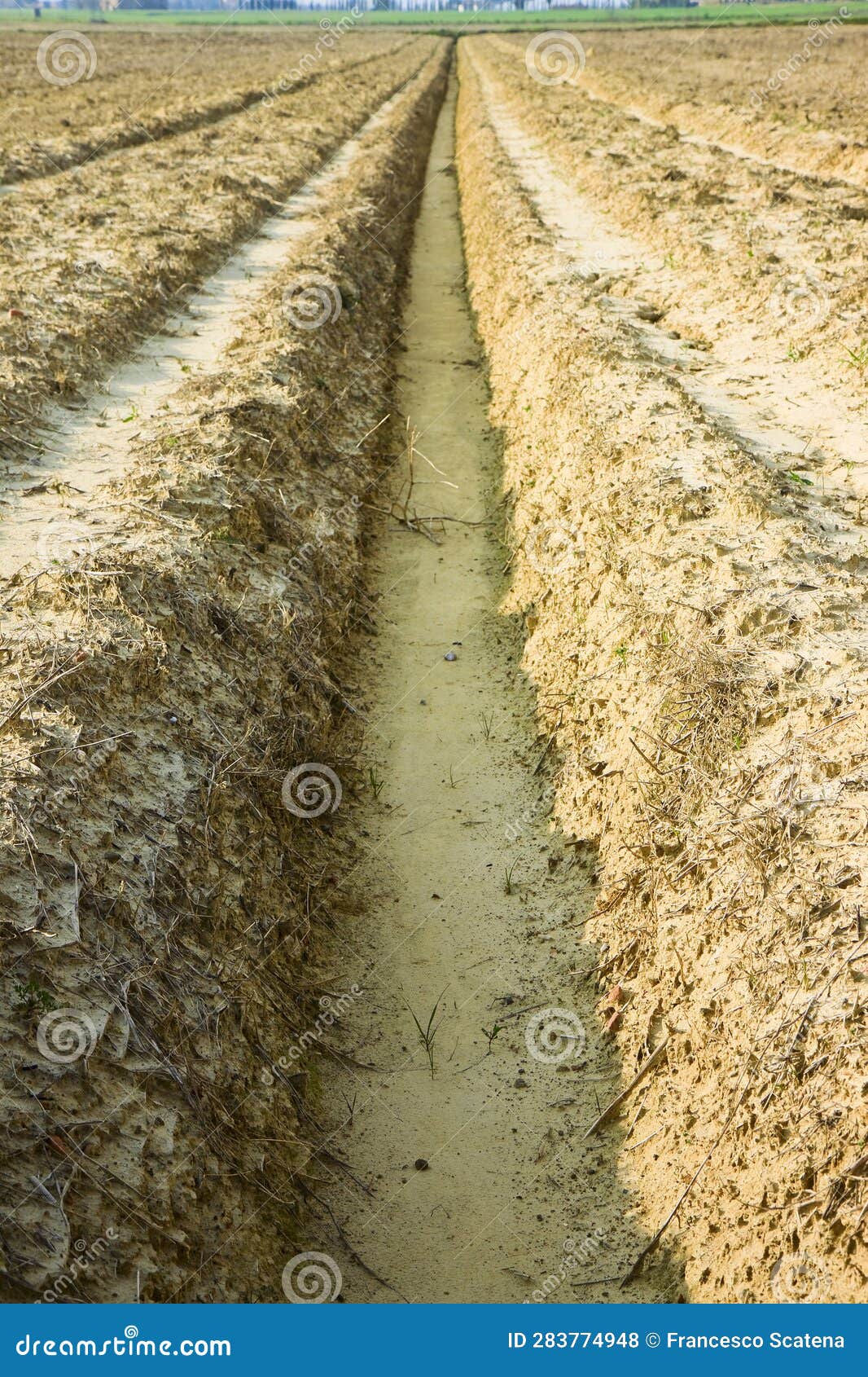 Ditch of Rainwater Collection in a Plowed Field Stock Photo - Image of ...