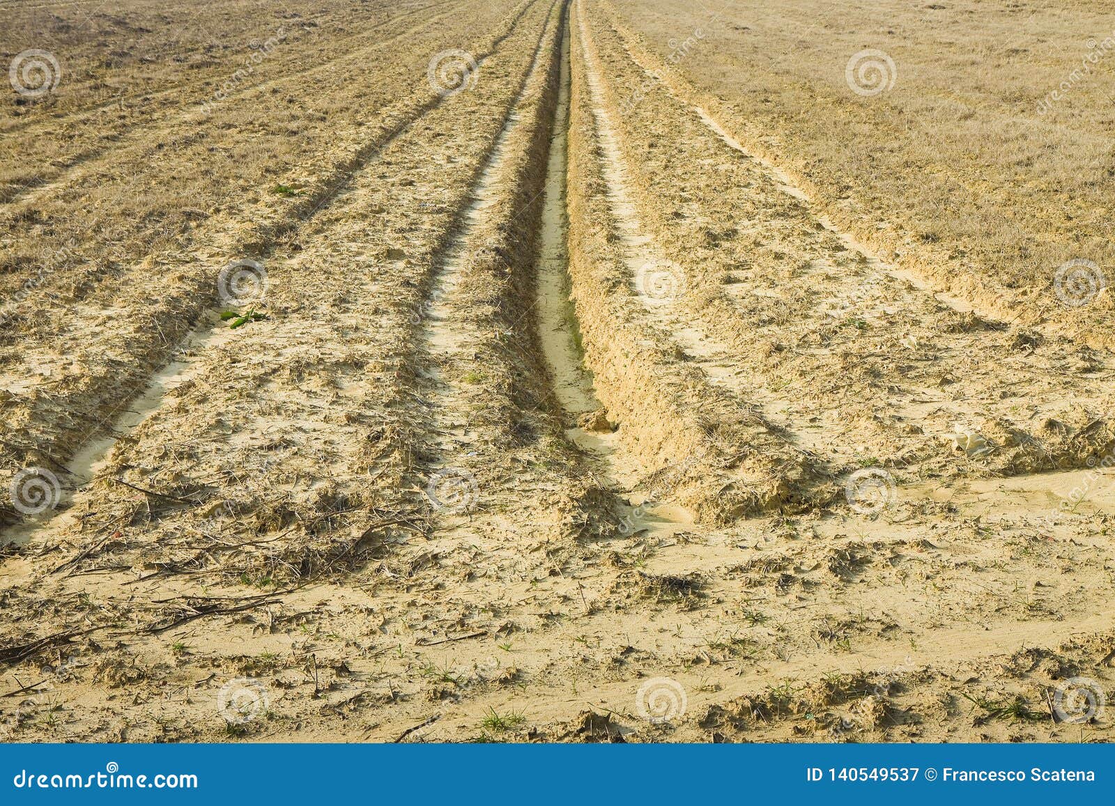 Ditch of Rainwater Collection in a Plowed Field - Image with Copy Space ...