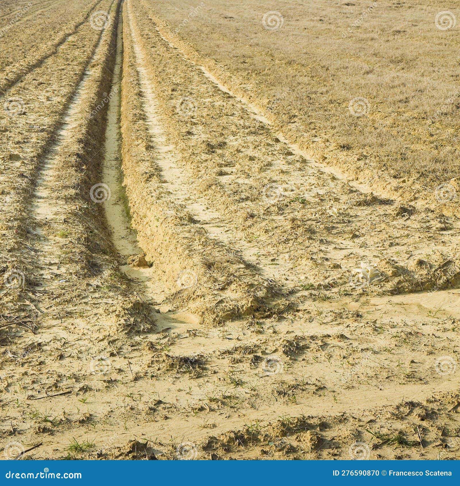 Ditch of Rainwater Collection in a Plowed Field Stock Photo - Image of ...