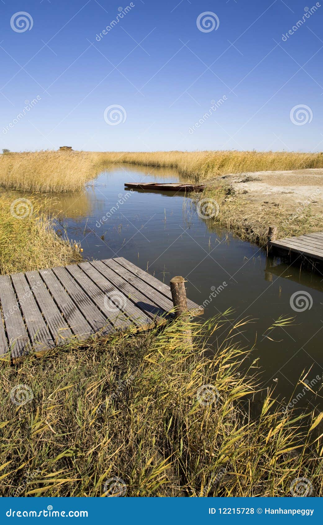 Ditch and reed stock photo. Image of field, agriculture - 12215728