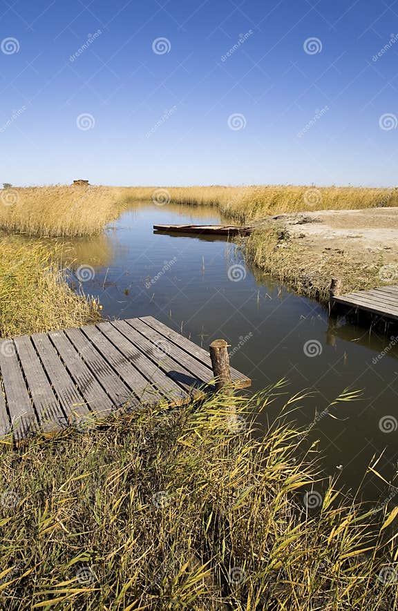 Ditch and reed stock photo. Image of field, agriculture - 12215728