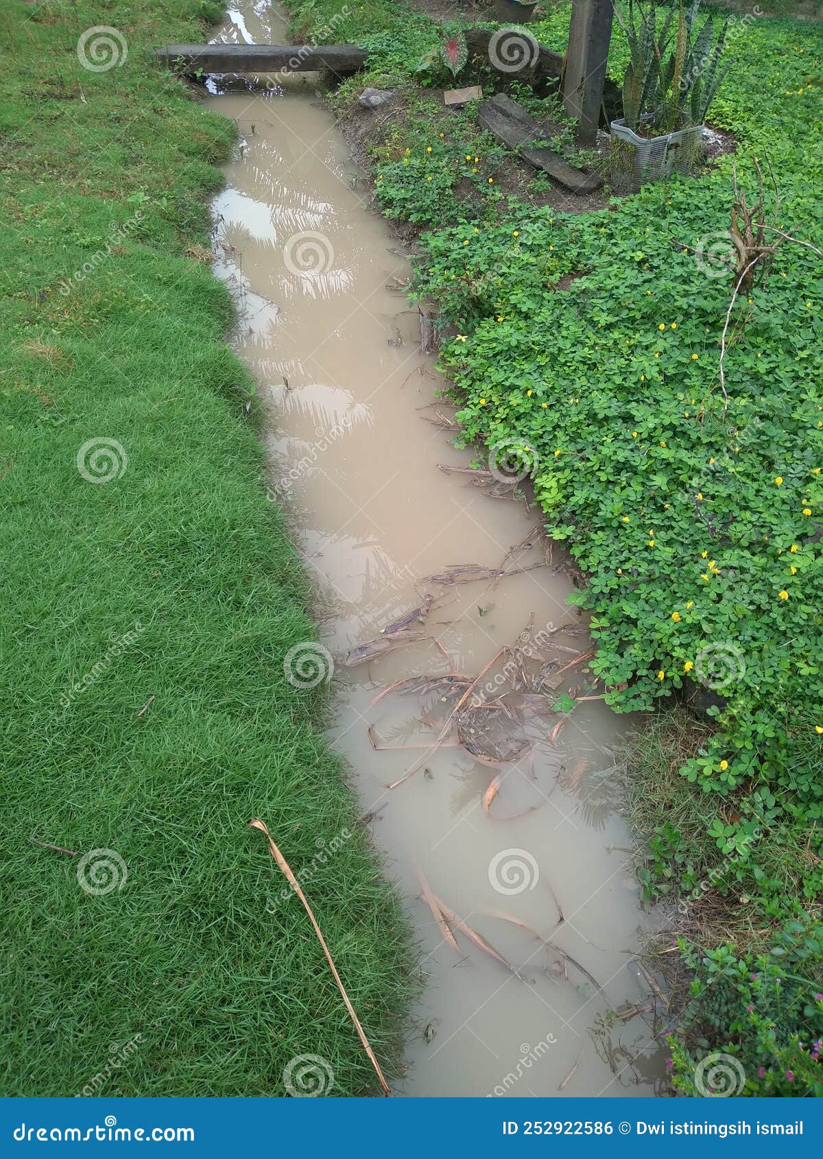 This is a Ditch that Was Hit by Rain Stock Photo - Image of lawn, grass ...