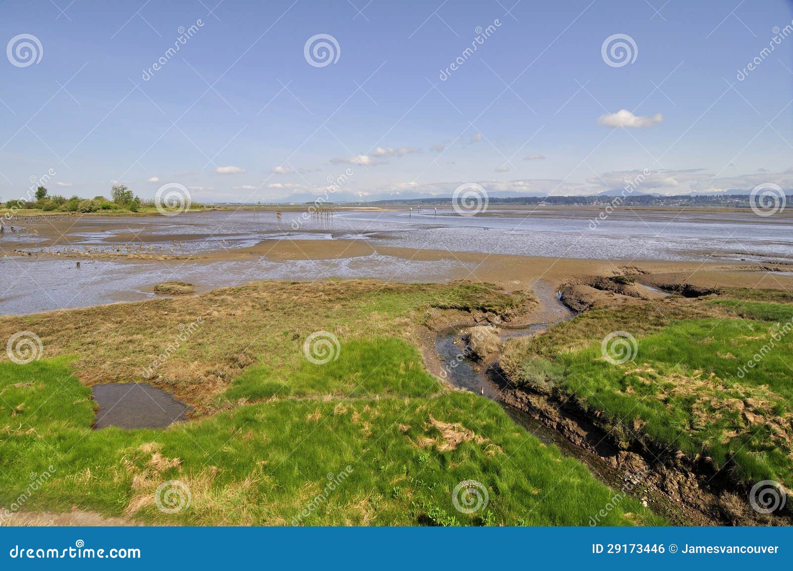 Ditch Water Flowing into the Muddy Sea Stock Photo - Image of mountain ...