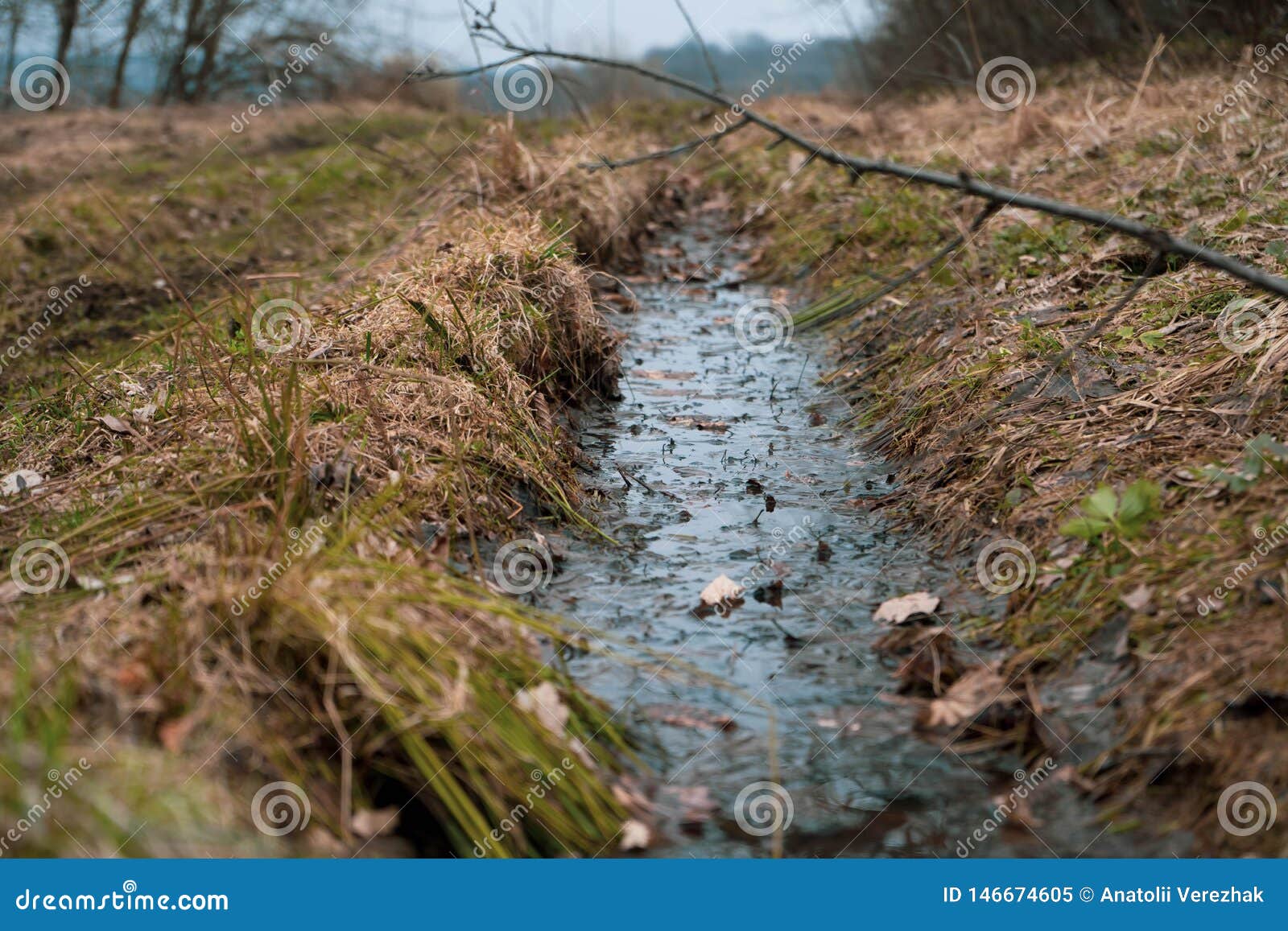 Ditch with a Water in the Wild Field Stock Image - Image of rural ...