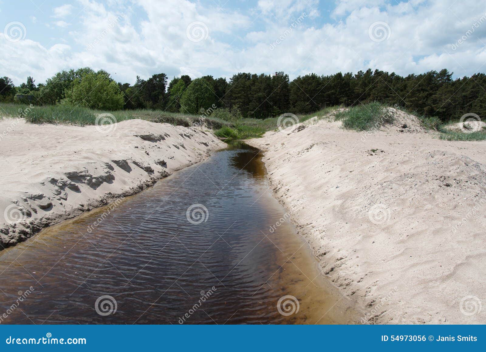 Ditch. stock photo. Image of drainage, earth, land, water - 54973056