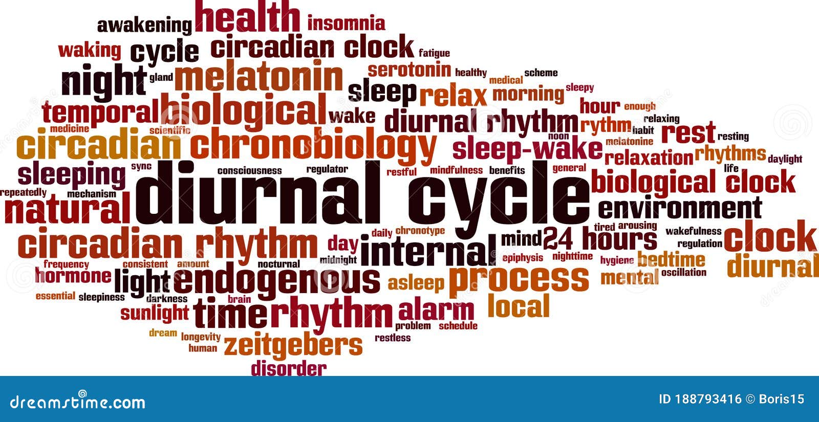 Diurnal Cycle Mind Map, Concept For Presentations And Reports Royalty ... Diurnal Cycle Mind Map, Concept For Presentations And Reports Royalty ...