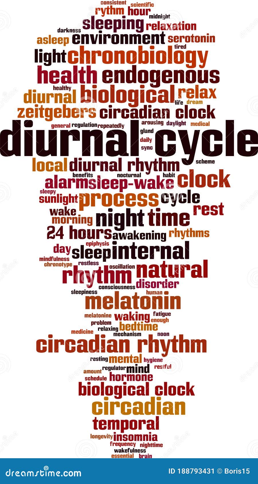 Diurnal Cycle Mind Map, Concept For Presentations And Reports Royalty ... Diurnal Cycle Mind Map, Concept For Presentations And Reports Royalty ...
