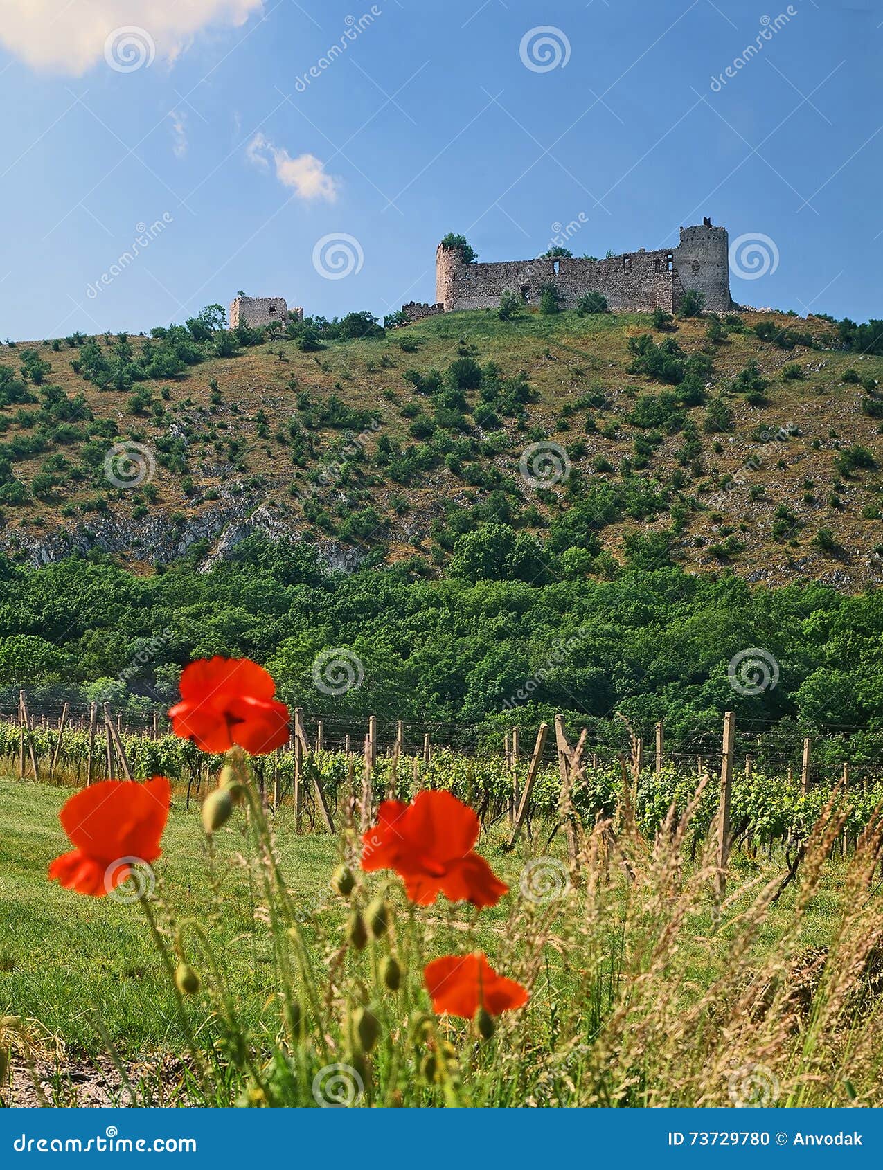 Devicky Or Divci Hrady Castle. Ruin Of Limestone Gothic Castle Stock ...