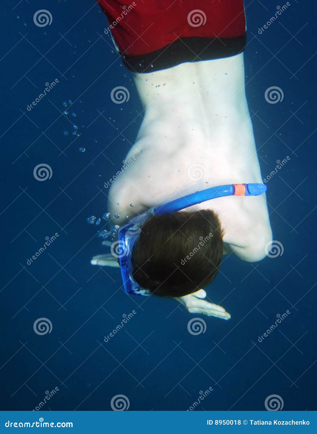 Dive man stock photo. Image of dark, snorkeling, skin - 8950018