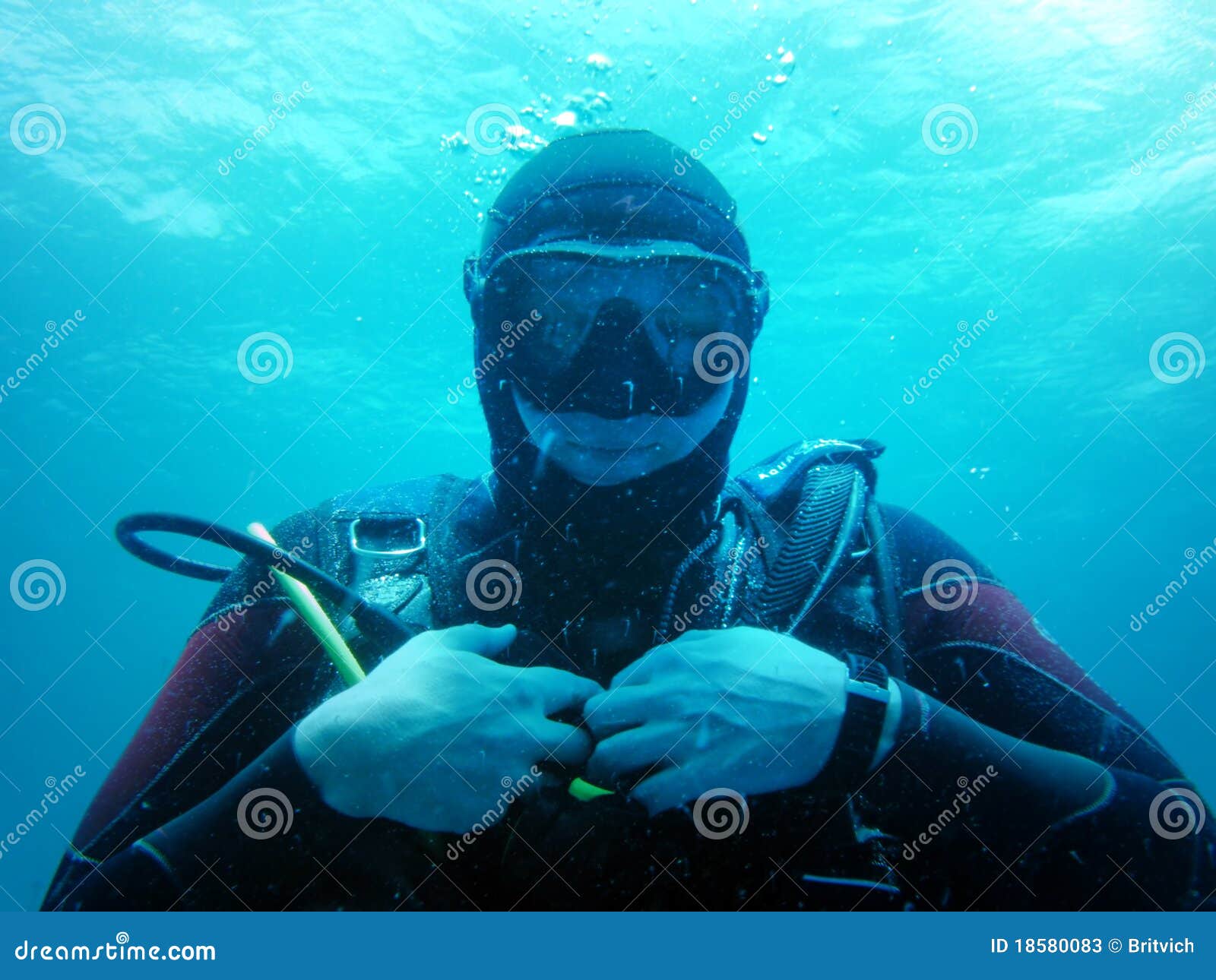 Diver stock image. Image of ocean, fresh, dive, harmony - 18580083