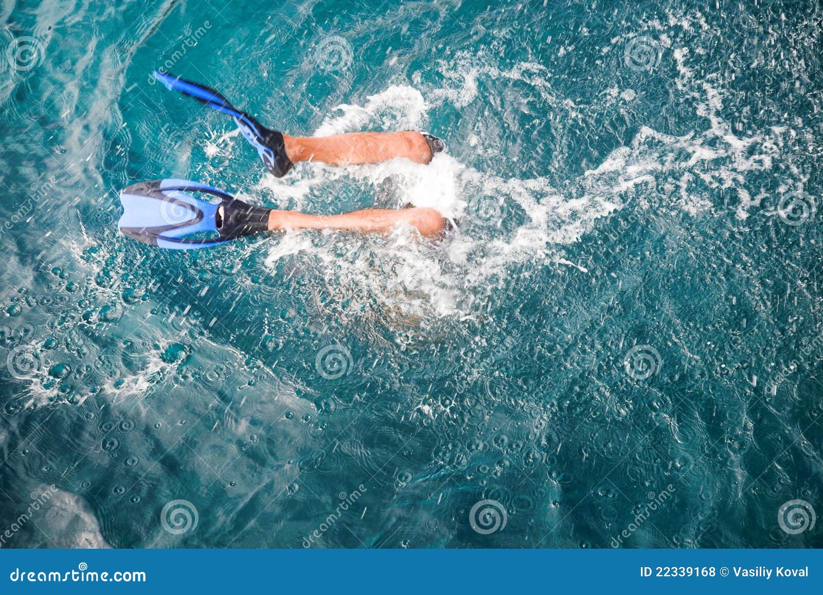 Diver stock photo. Image of travel, underwater, leisure - 22339168