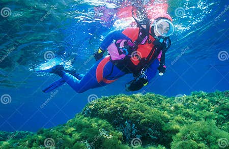 Diver stock photo. Image of jacks, liquid, dive, exploration - 4221640