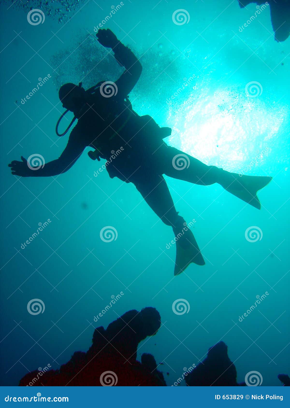 Diver stock image. Image of marine, frontier, underwater - 653829