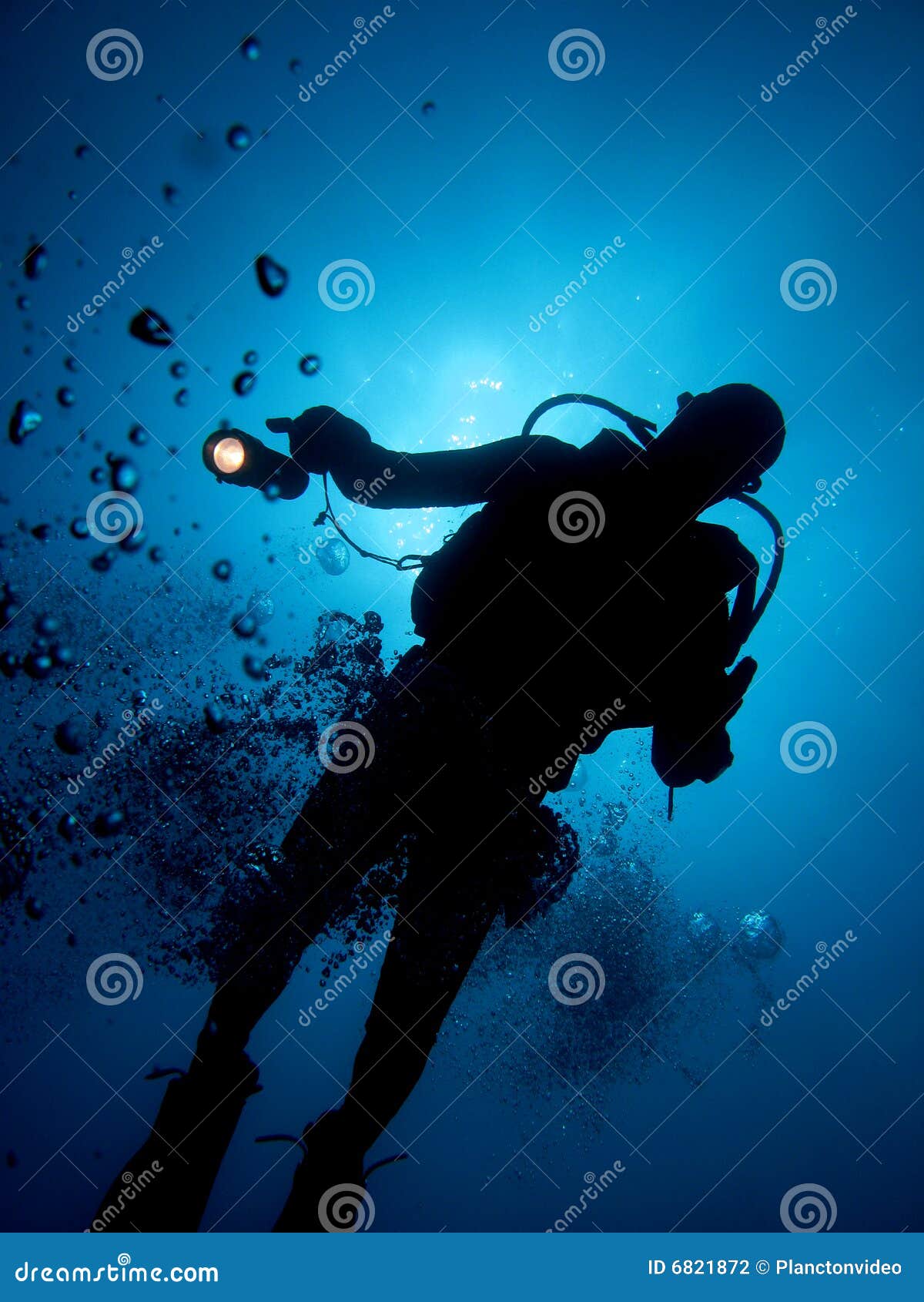 Diver stock photo. Image of biology, documentary, silhouette - 6821872