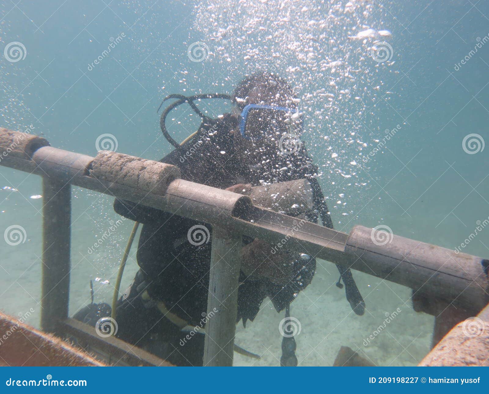 A Diver Arrange the Substrate at Artificial Reef Area in Malaysia ...