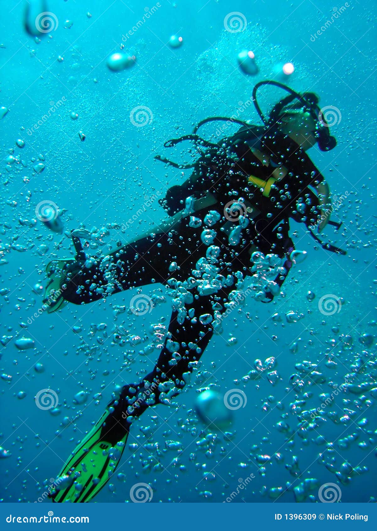 Diver ascends stock image. Image of sunlight, aquatic - 1396309