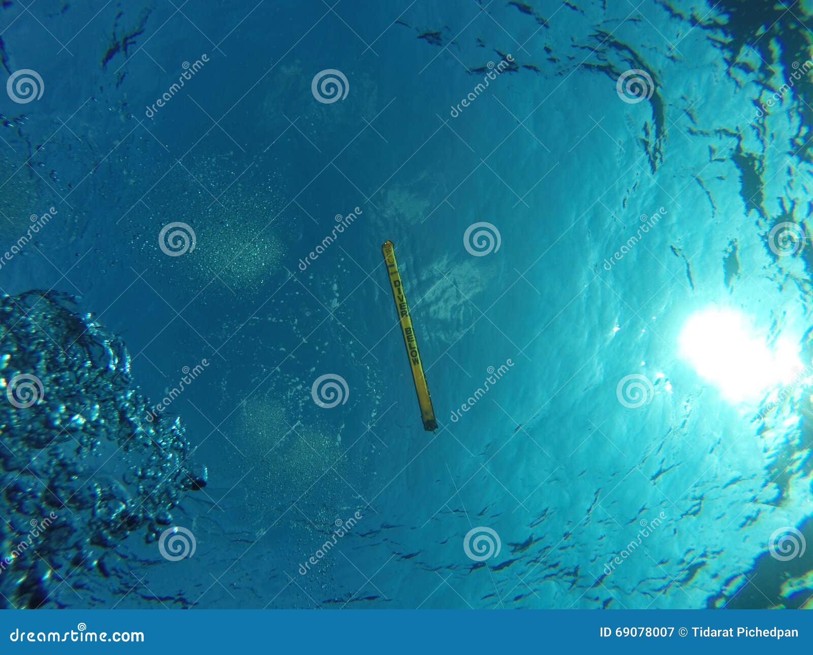 Diver Below stock image. Image of diving, fresh, diver - 69078007