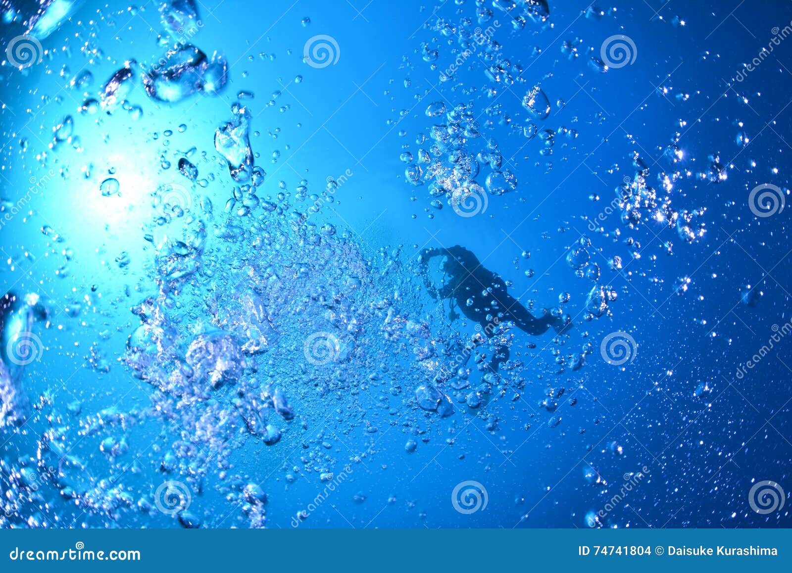 Diver and Bubbles stock photo. Image of marine, looking - 74741804