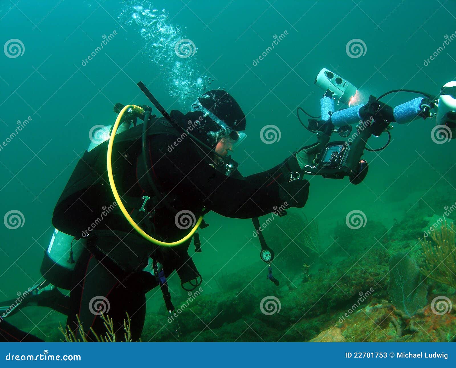 Diver with Camera stock image. Image of swimming, camera - 22701753