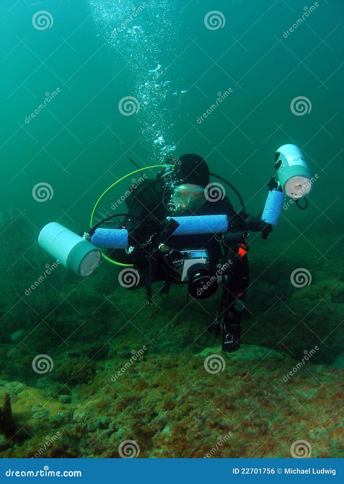 Diver with Camera stock photo. Image of deep, wildlife - 22701756