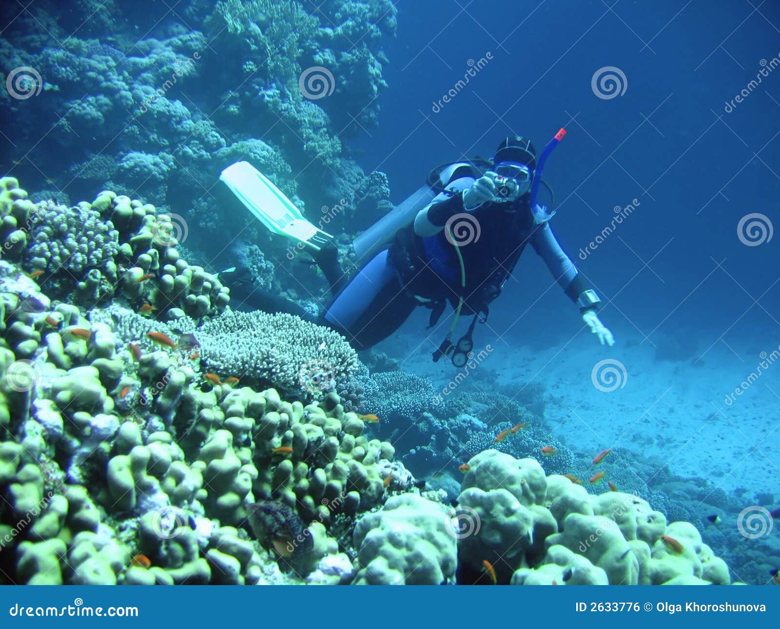 Diver in deep stock photo. Image of dive, boldness, eyes - 2633776