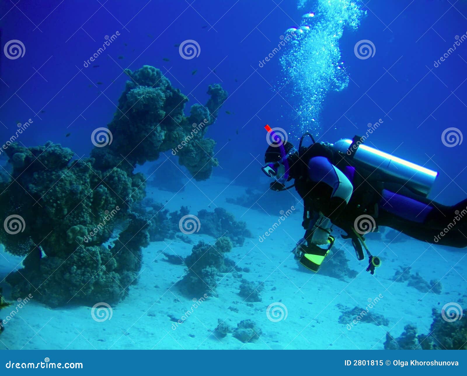 Diver in deep stock image. Image of close, relaxation - 2801815