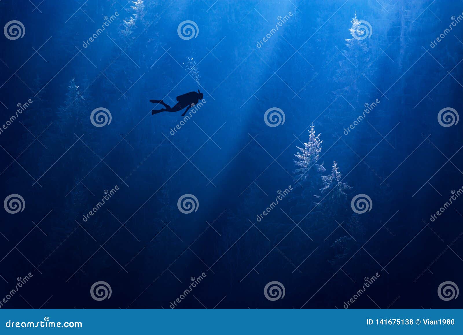 Diver in a Deep Blue Misty Forest Stock Photo - Image of heaven, park ...
