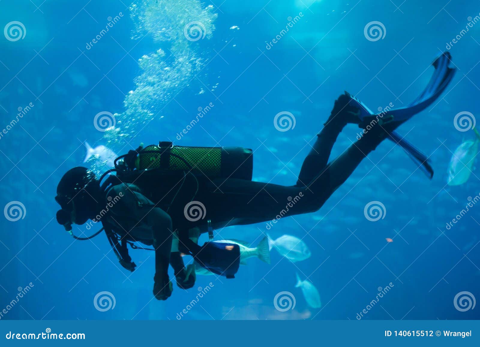 Diver Diving with a Scuba Set Stock Photo - Image of dive, diving ...