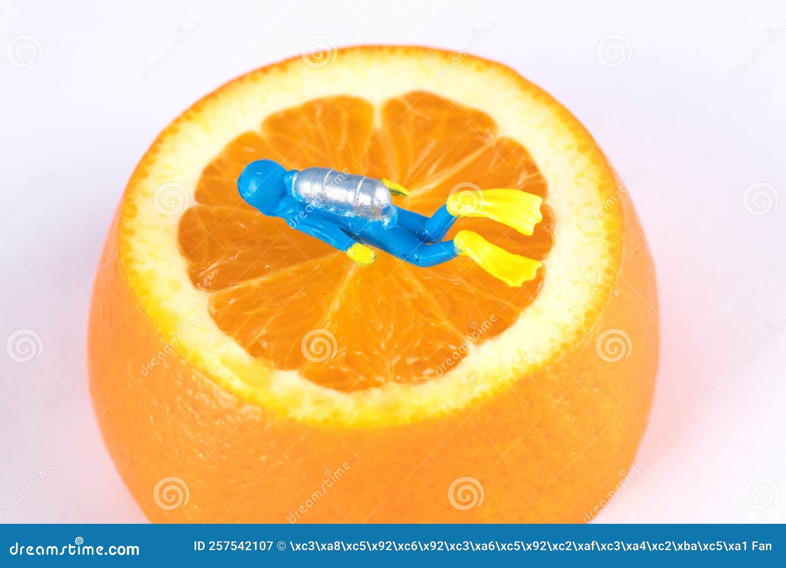 Diver Doll Model Diving on Cut Orange Pulp Stock Image - Image of doll ...