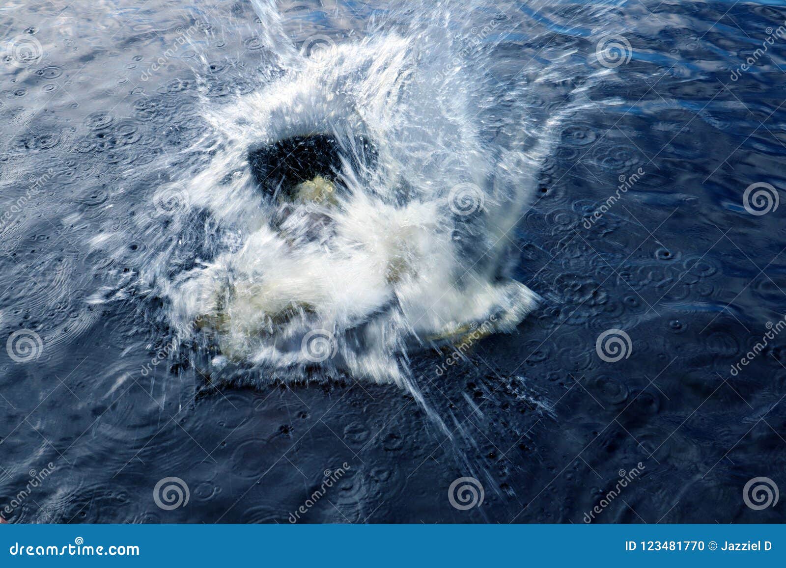 Diver Entering the Water with Big Splash and Bubbles Stock Photo ...