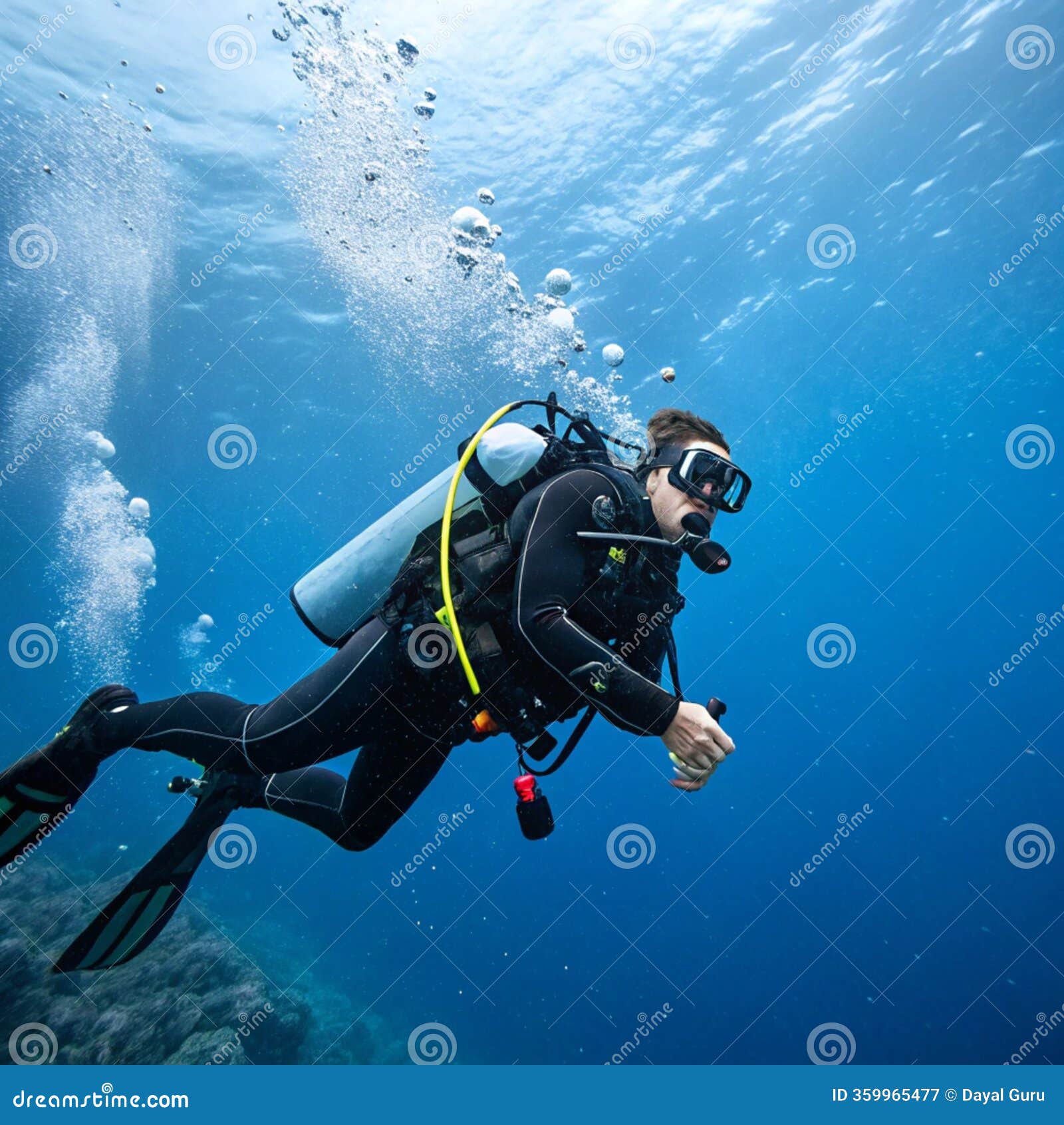 Exploring The Depths: Scuba Divers Navigate A Tunnel With Marine Life ...