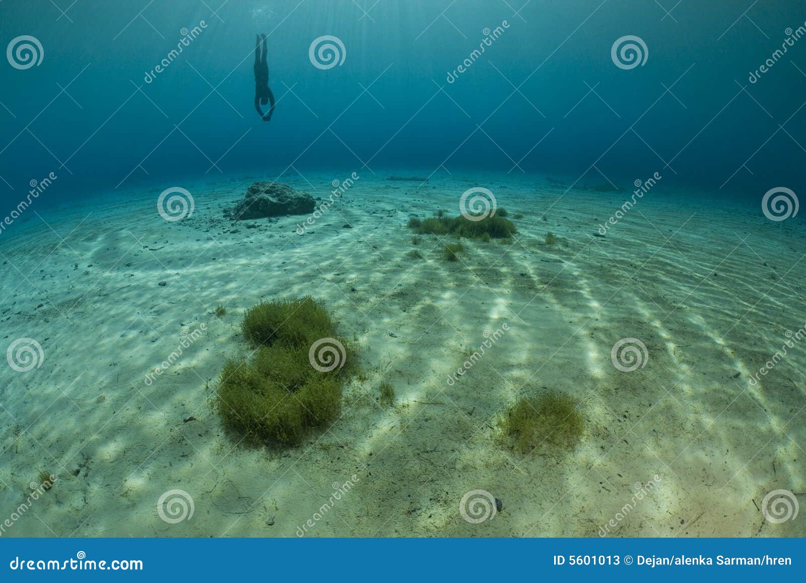 Diver Exploring Lake Bottom Stock Image - Image of submerging ...