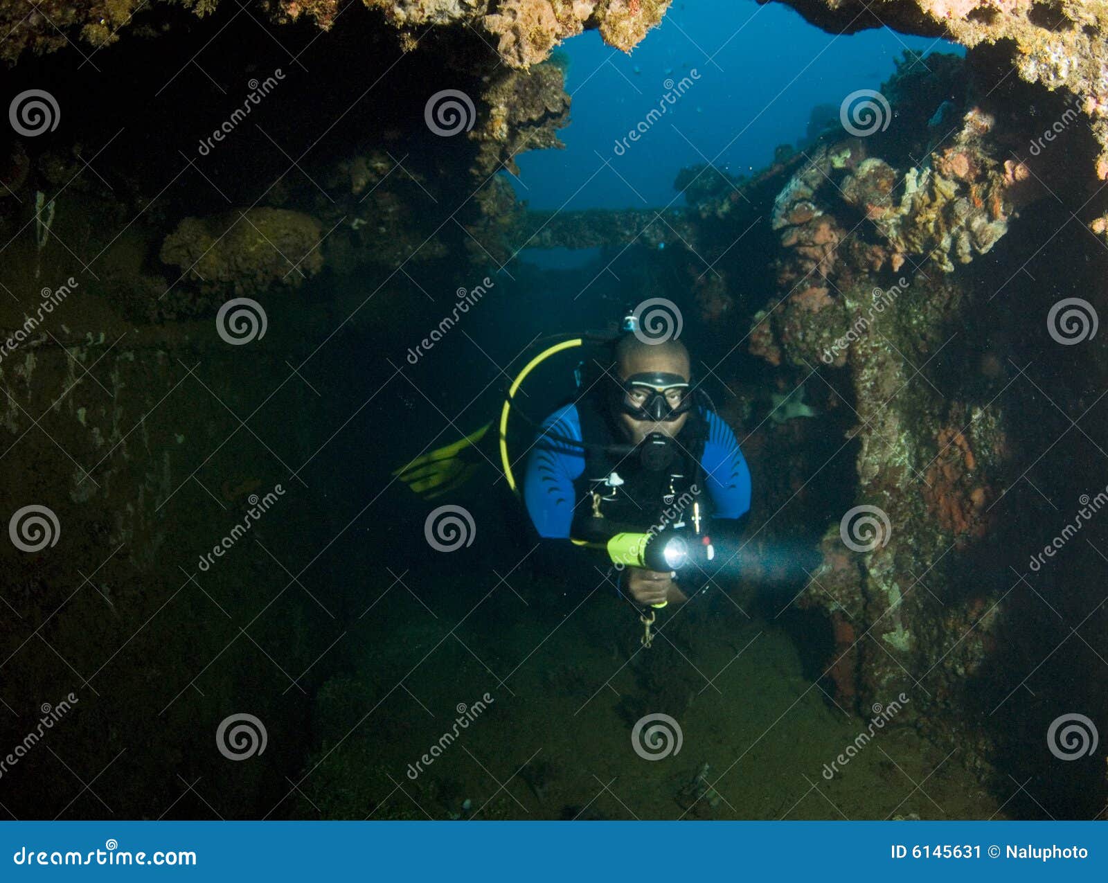 Diver Exploring Wreck stock image. Image of saltwater - 6145631 Diver Exploring Wreck stock image. Image of saltwater - 6145631