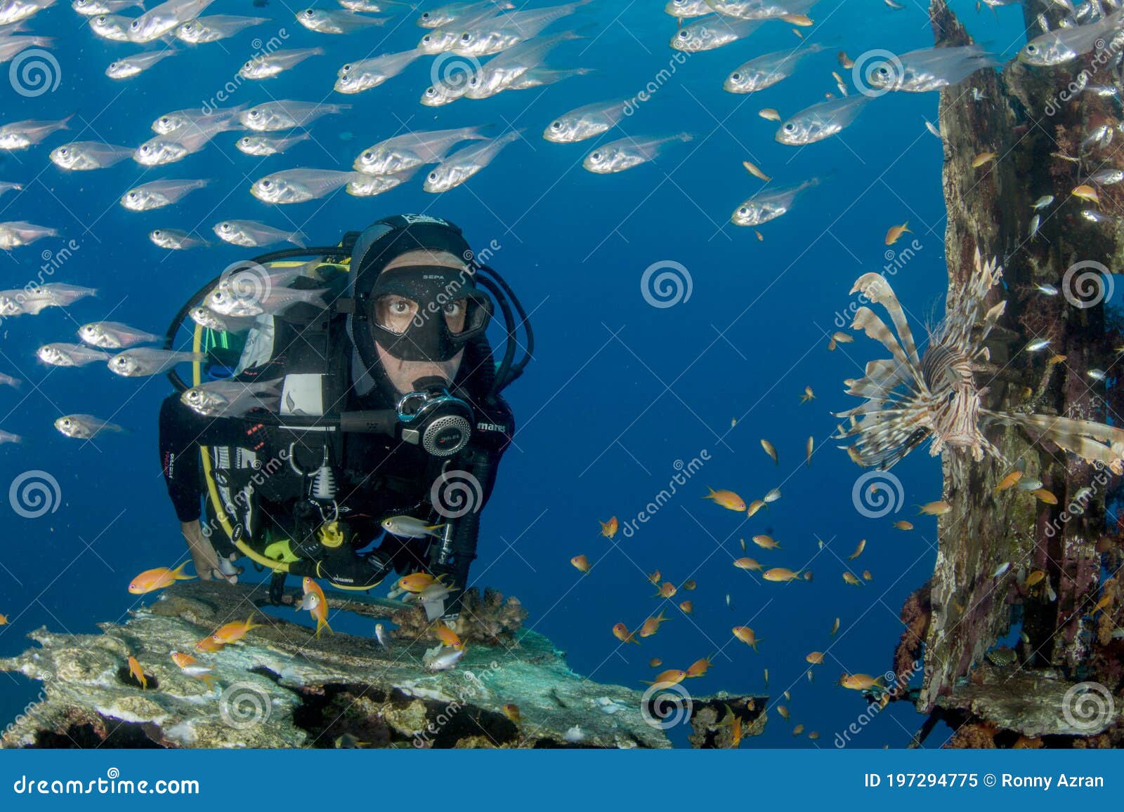 Diver Among Fish Royalty-Free Stock Photo | CartoonDealer.com #197294775