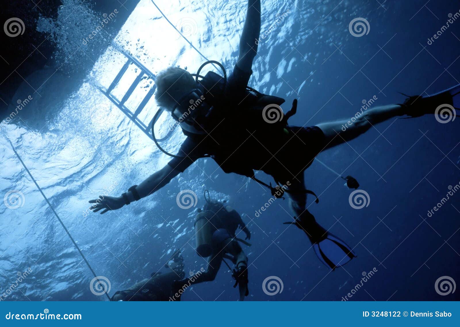 336 Eagle Position Stock Photos - Free & Royalty-Free Stock Photos from ...