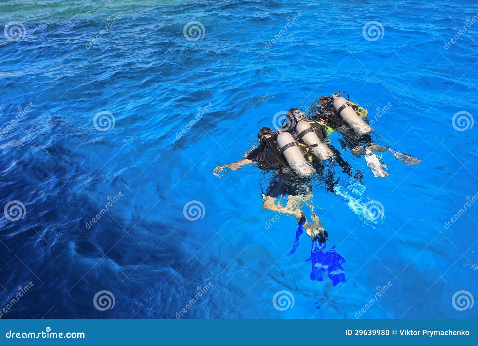Diver, frogman stock photo. Image of marine, landscape - 29639980