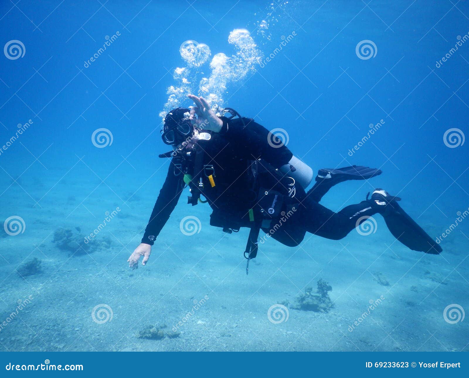 Diver gesture OK stock image. Image of reef, diver, coral - 69233623