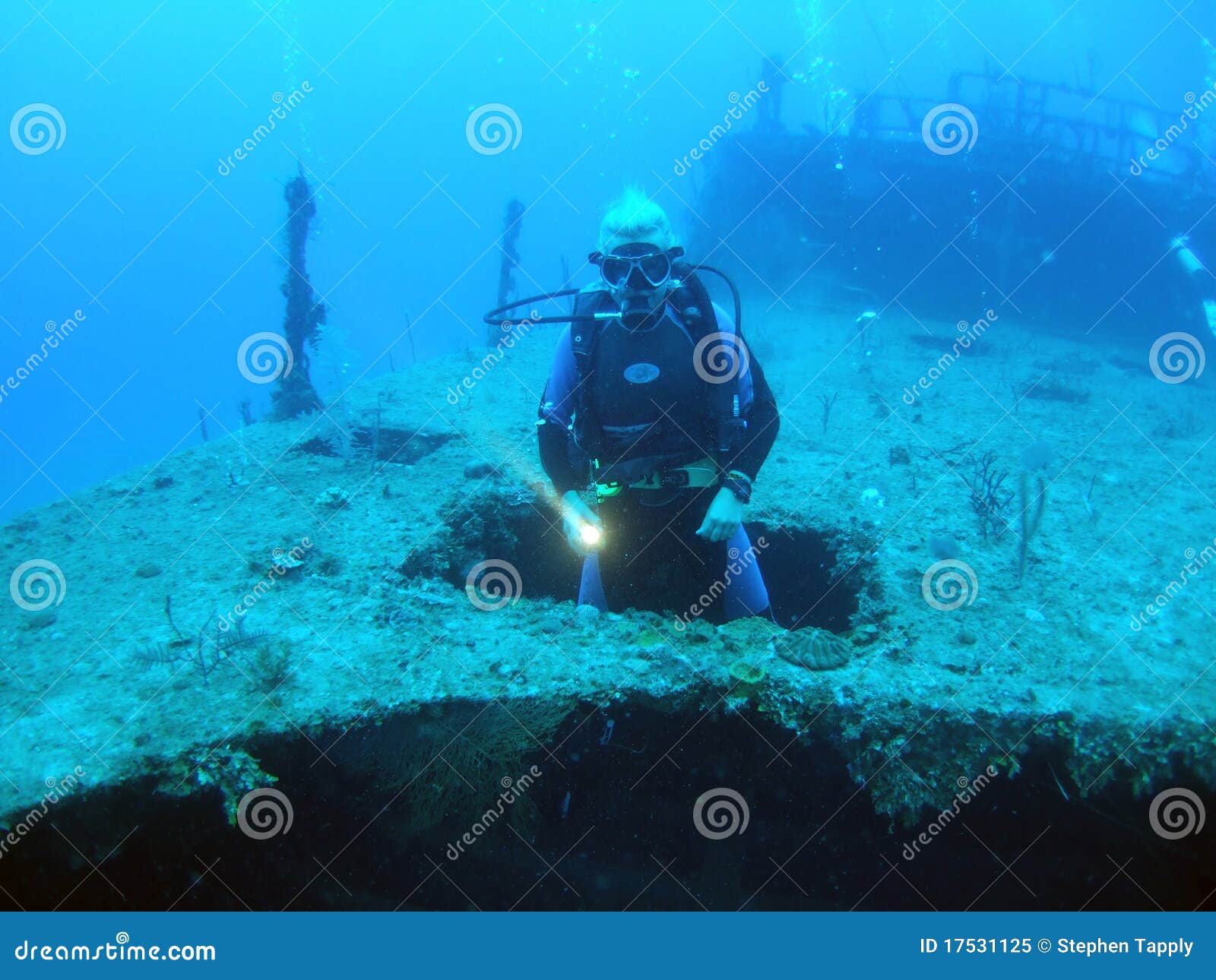 Diver in shipwreck stock image. Image of honduras, scuba - 17531125