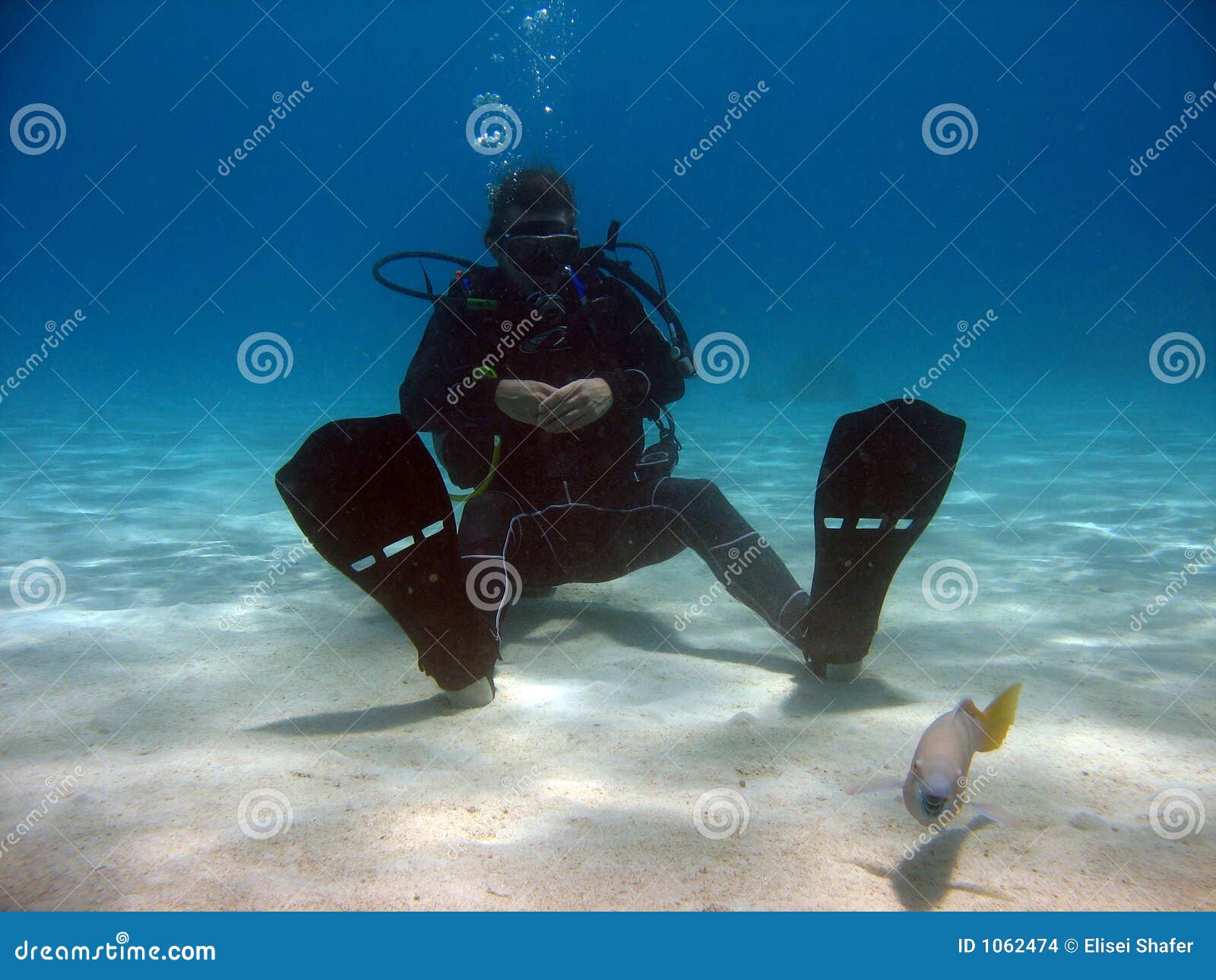 Diver sitting on sand stock photo. Image of adventure - 1062474