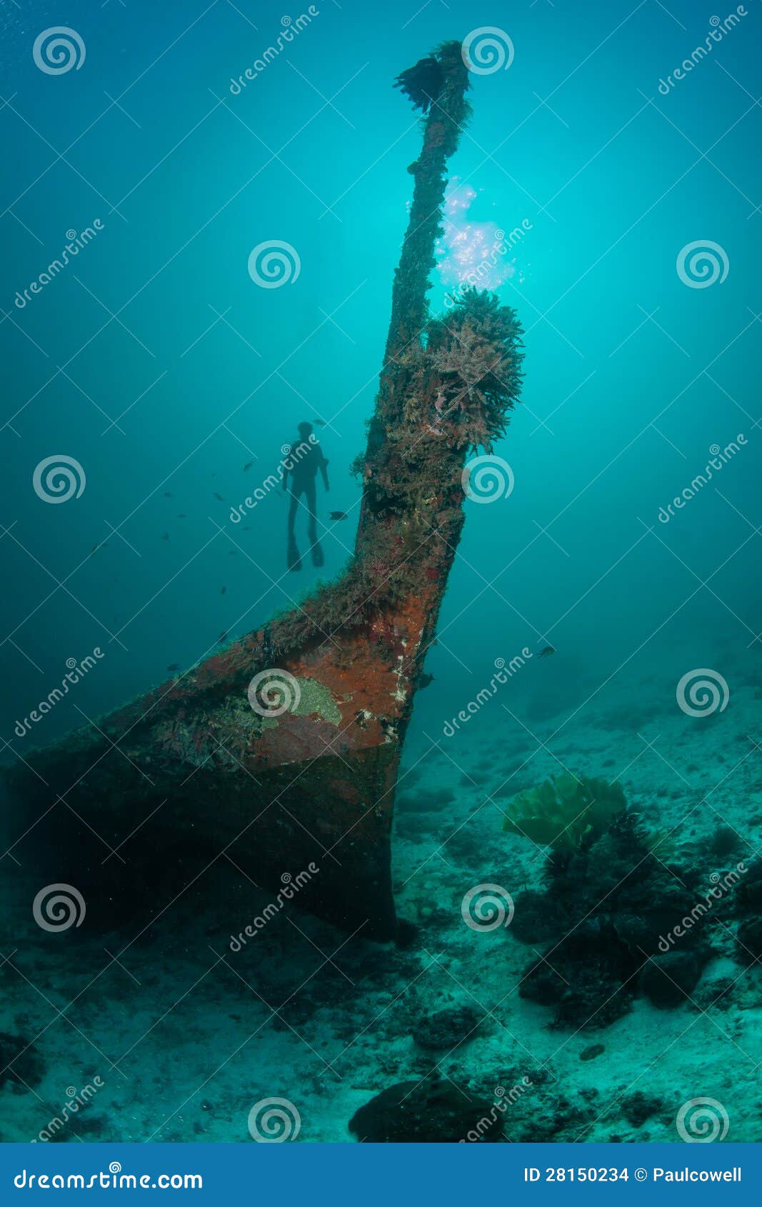 Diver and a sunken wreck stock photo. Image of marine - 28150234