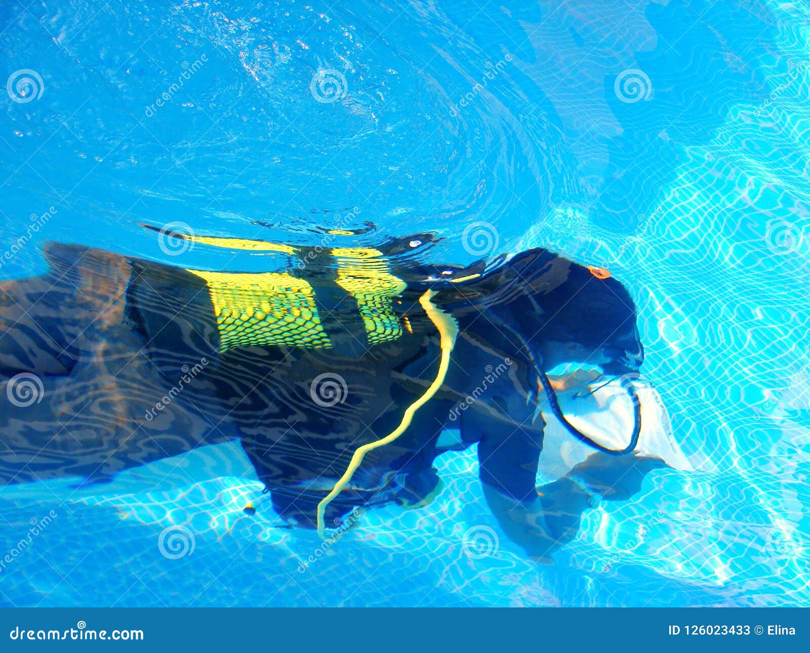 Diver Swim in Pool with Instruction for Learning Stock Image - Image of ...