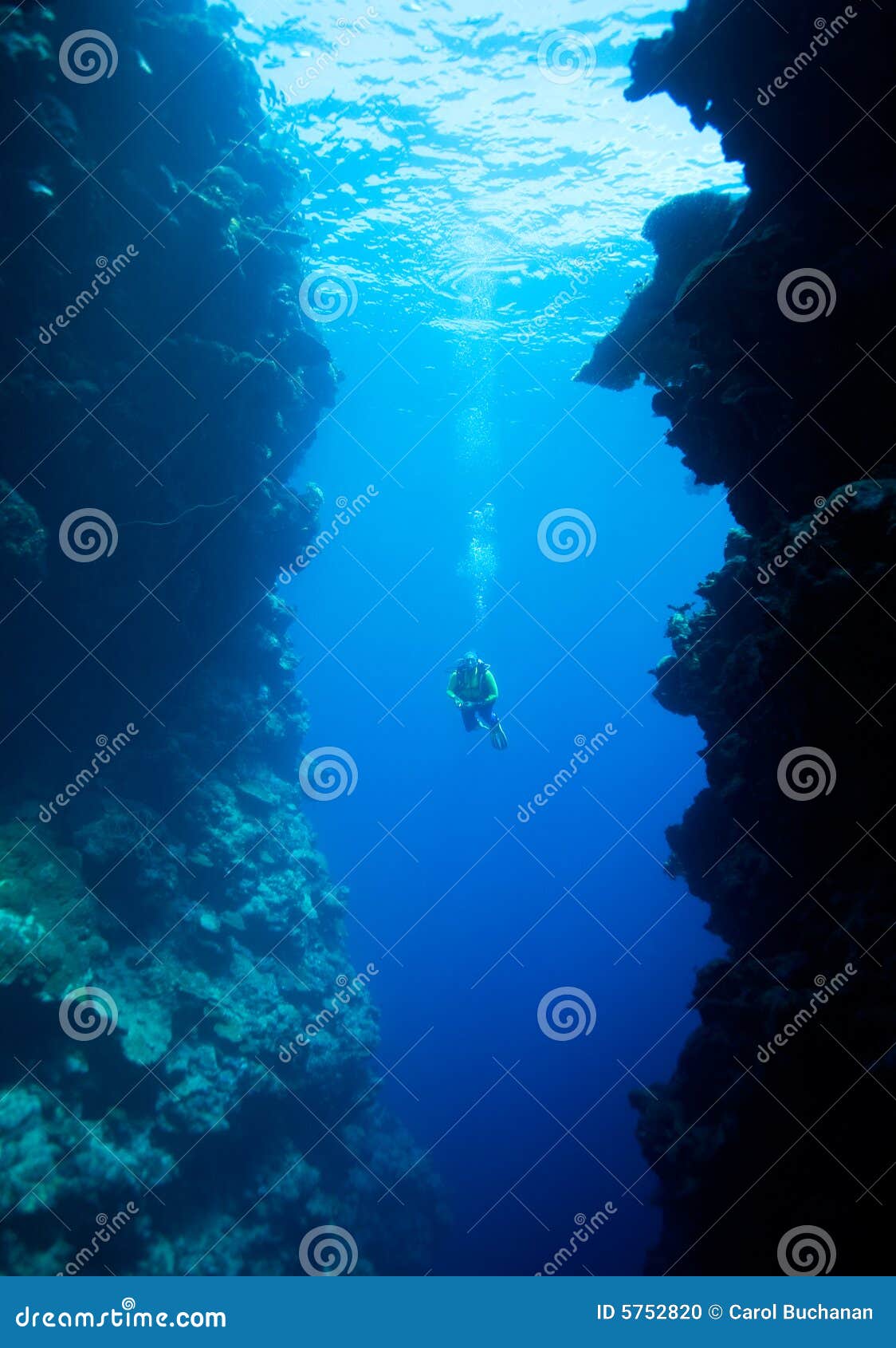 Diver Swimming between Underwater Cliffs Stock Photo - Image of diving ...