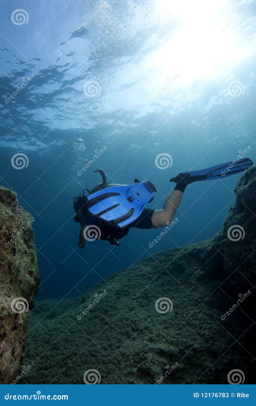 Diver underwater stock image. Image of deep, stones, explore - 12176783