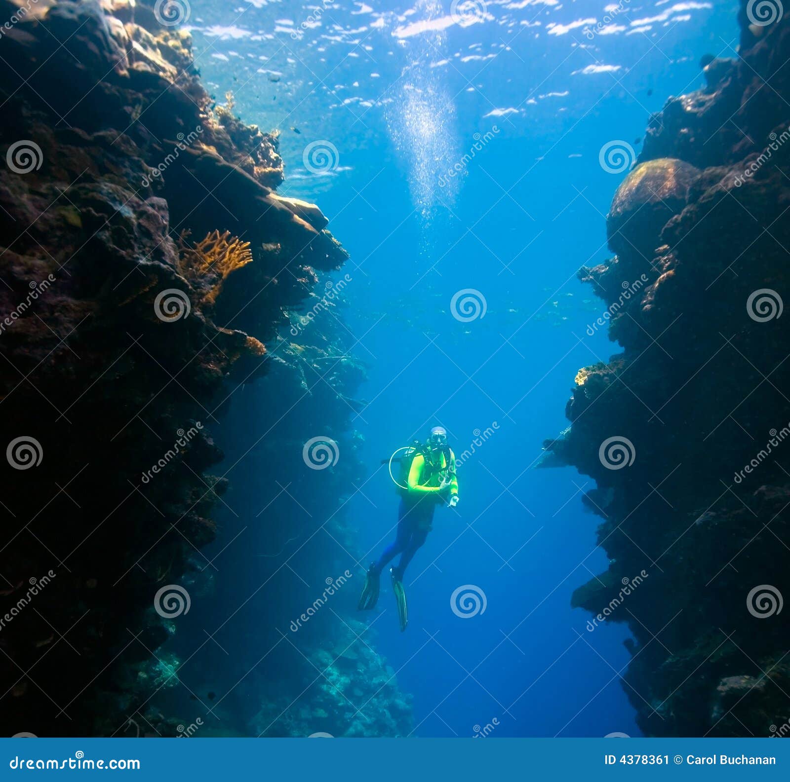 Diver Underwater stock image. Image of female, sunshine - 4378361