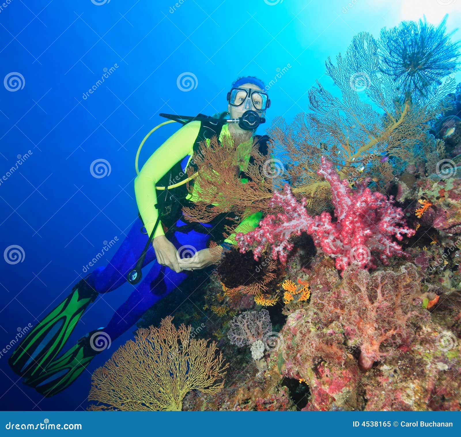 Diver Underwater stock image. Image of space, scuba, blue - 4538165