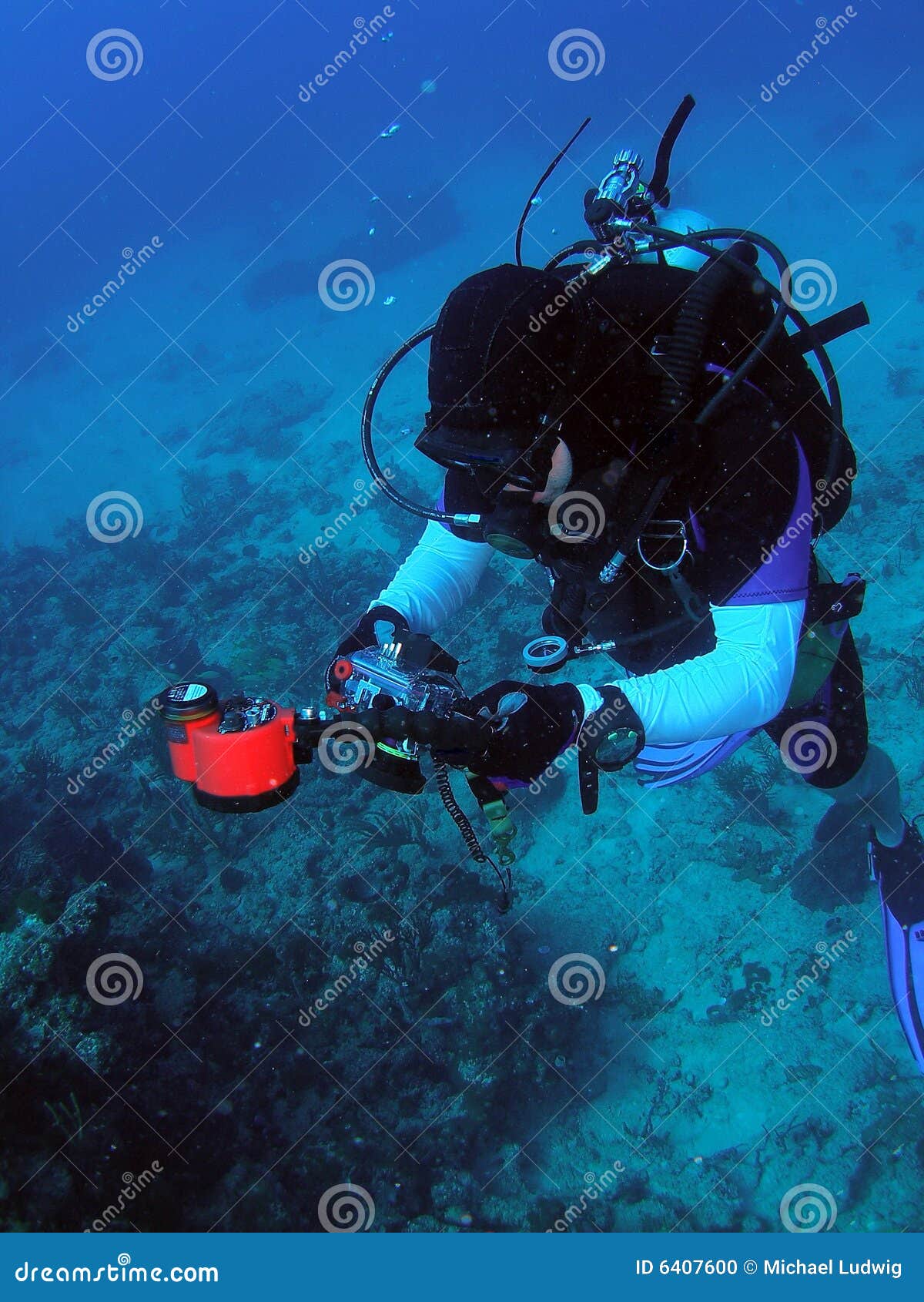 Diver with Underwater Camera Stock Photo - Image of bermuda, diver: 6407600